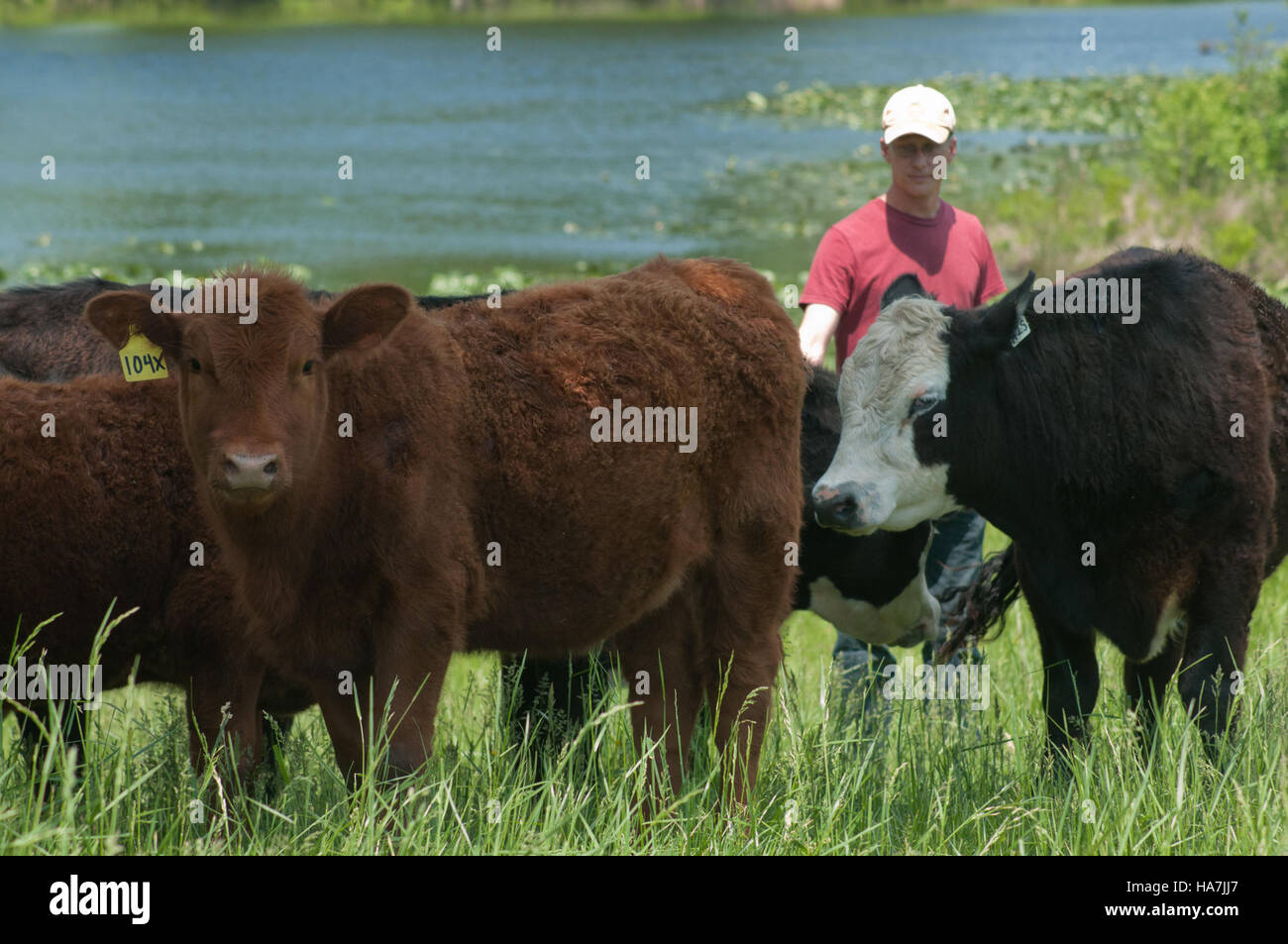 The USDA's Food Hub in Virginia supports local agriculture by promoting ...