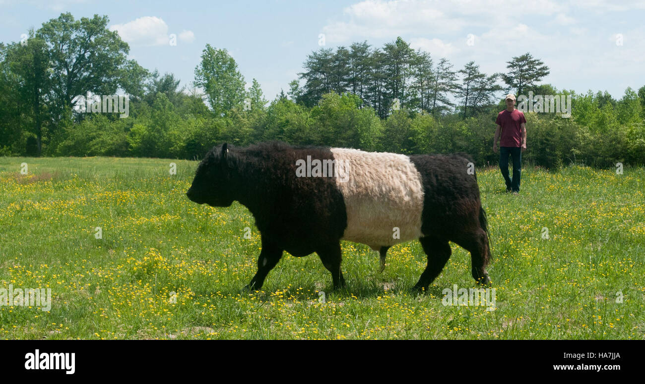 The USDA's Food Hub initiative supports cooperative farming and rural ...