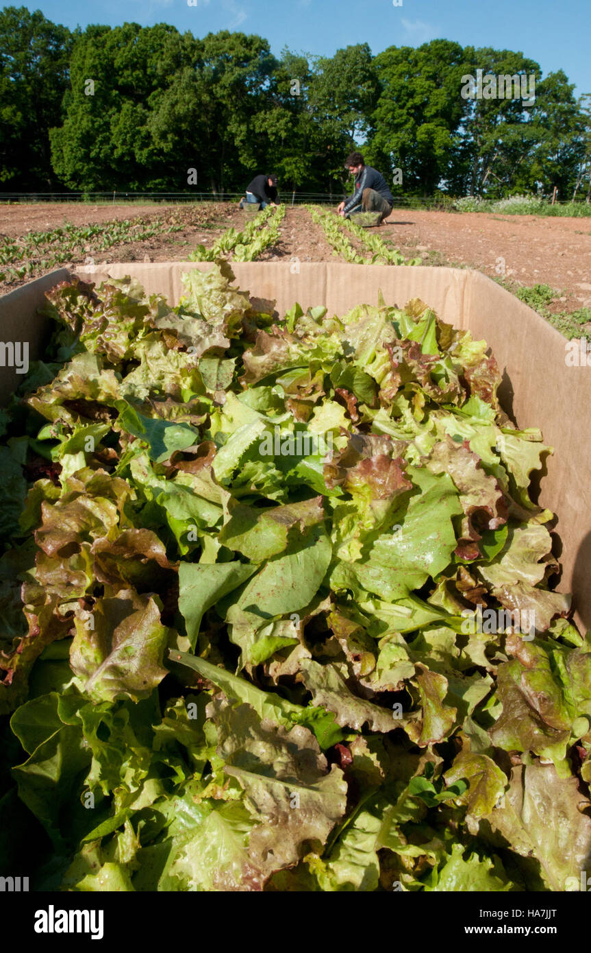 This caption features a USDA-supported food hub in Powhatan, Virginia ...