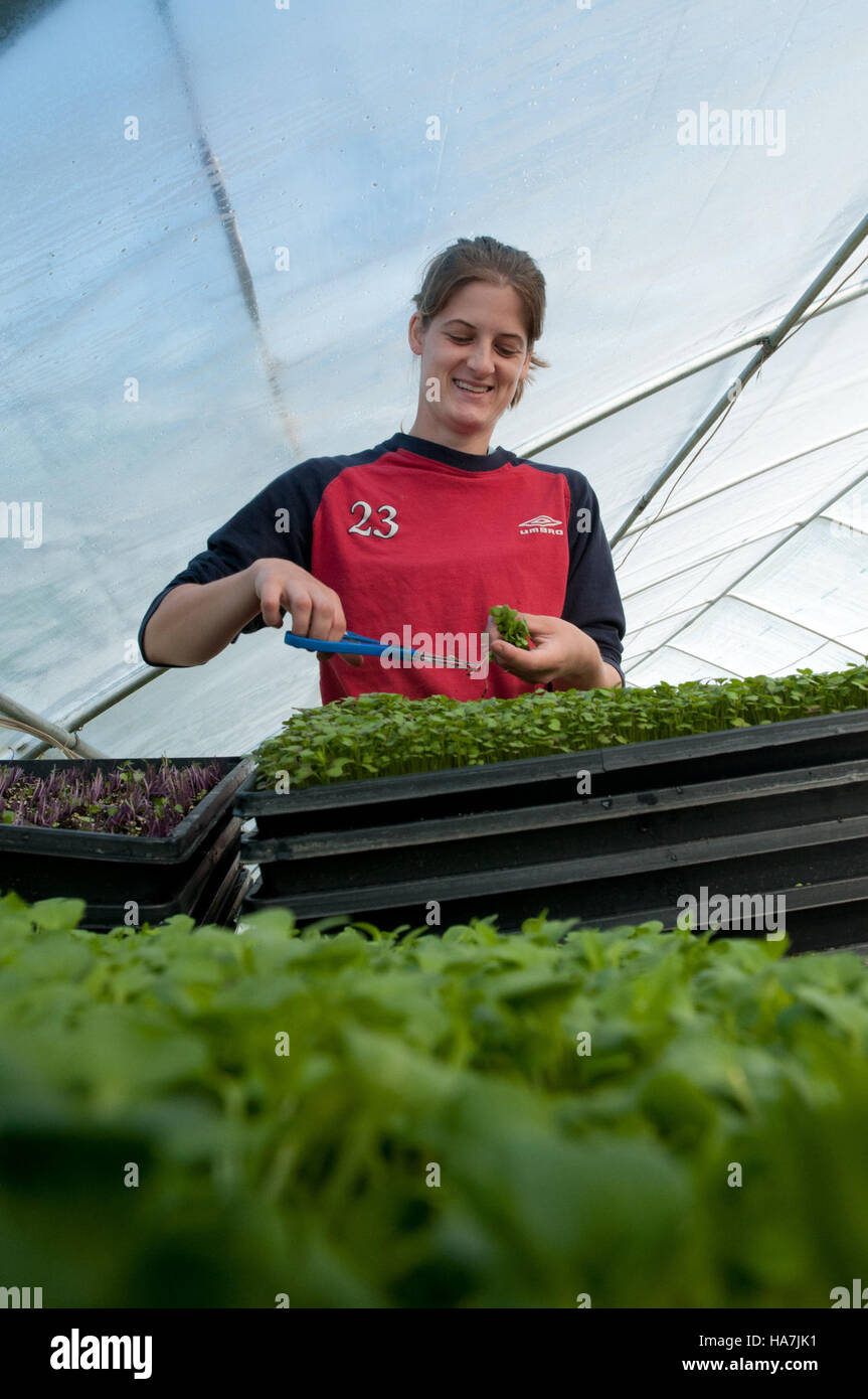 The USDA’s rural development initiatives support local farming ...