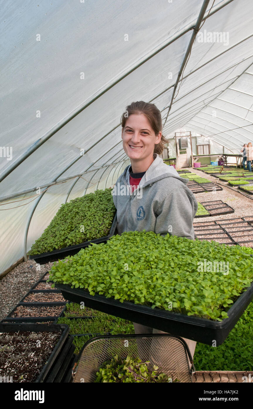The USDA's Food Hub program supports local agriculture by promoting ...