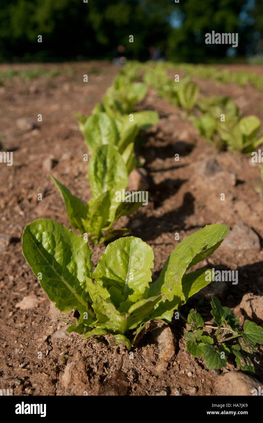 The USDA supports rural development through initiatives like the ...