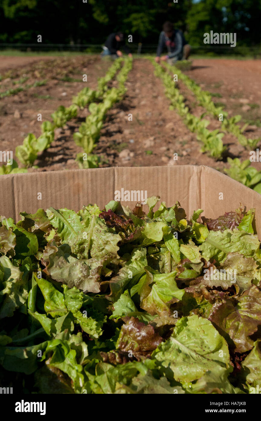 The USDA's Food Hub project in Powhatan, Virginia, supports local ...