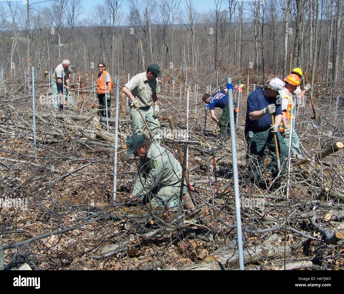 Hoosier National Forest, located in southern Indiana, is a popular ...