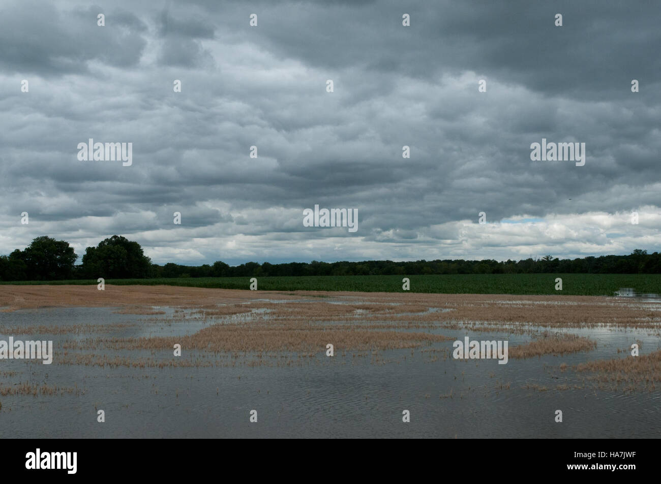 The USDA’s National Resources Conservation Service (NRCS) works with ...