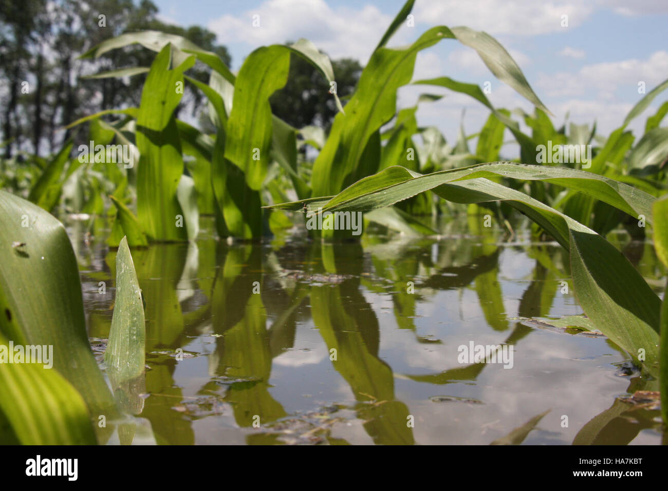 This image features a USDA initiative aimed at promoting sustainable ...
