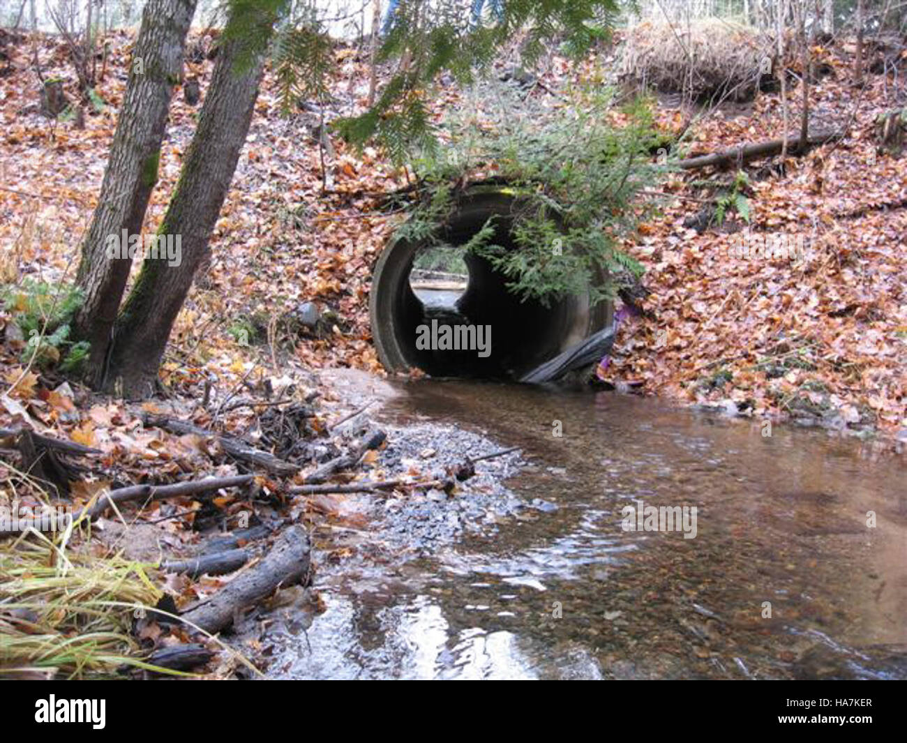 The USDA is involved in land management and conservation efforts in the ...