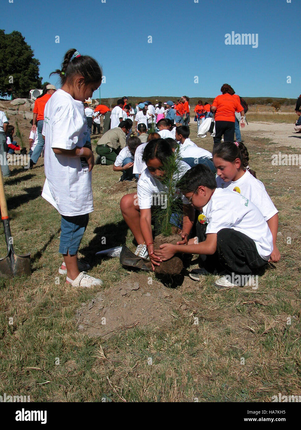 Children participate in tree planting events to promote environmental ...