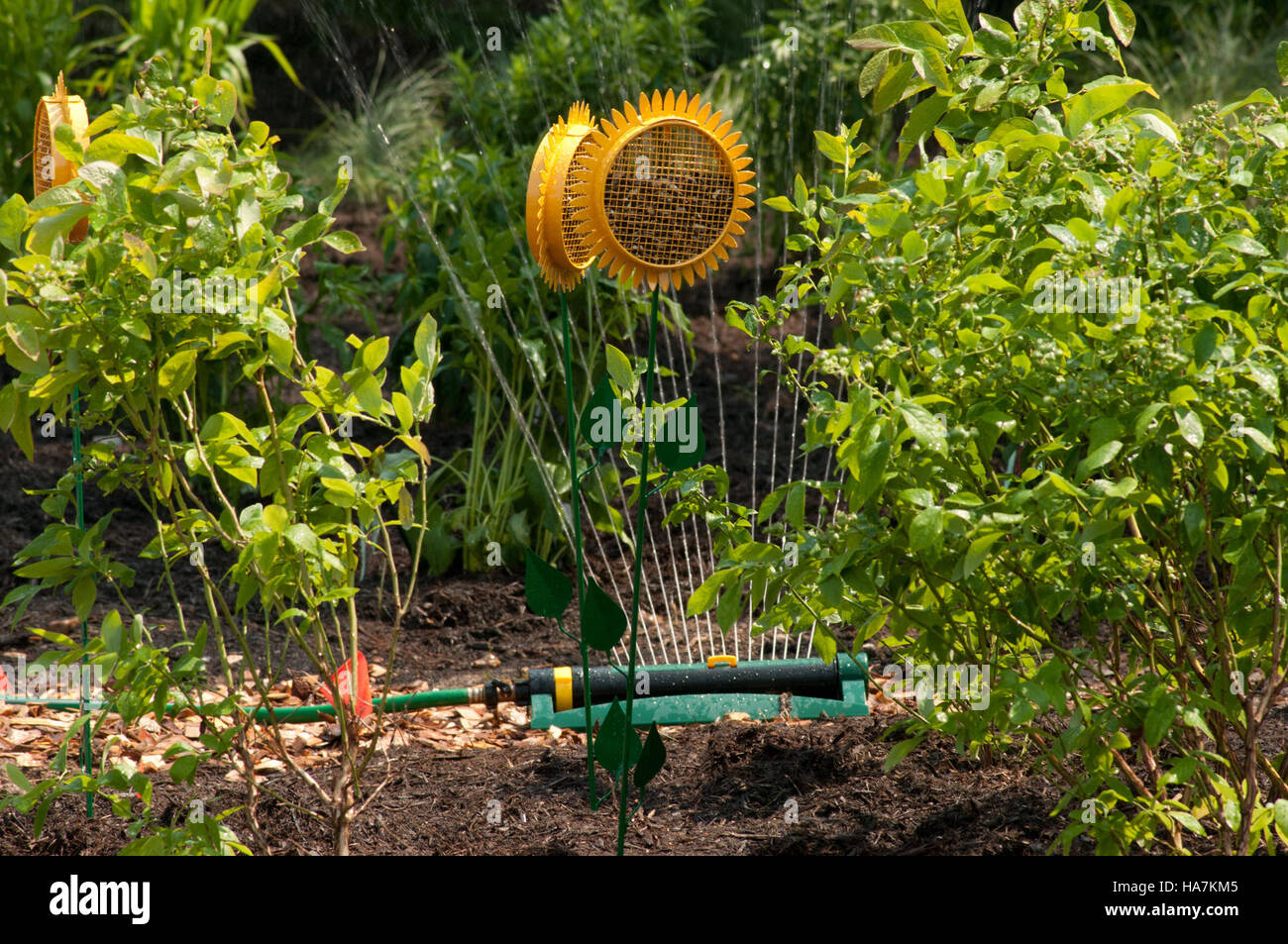 This image from the USDA's Master Gardener program shows students at ...