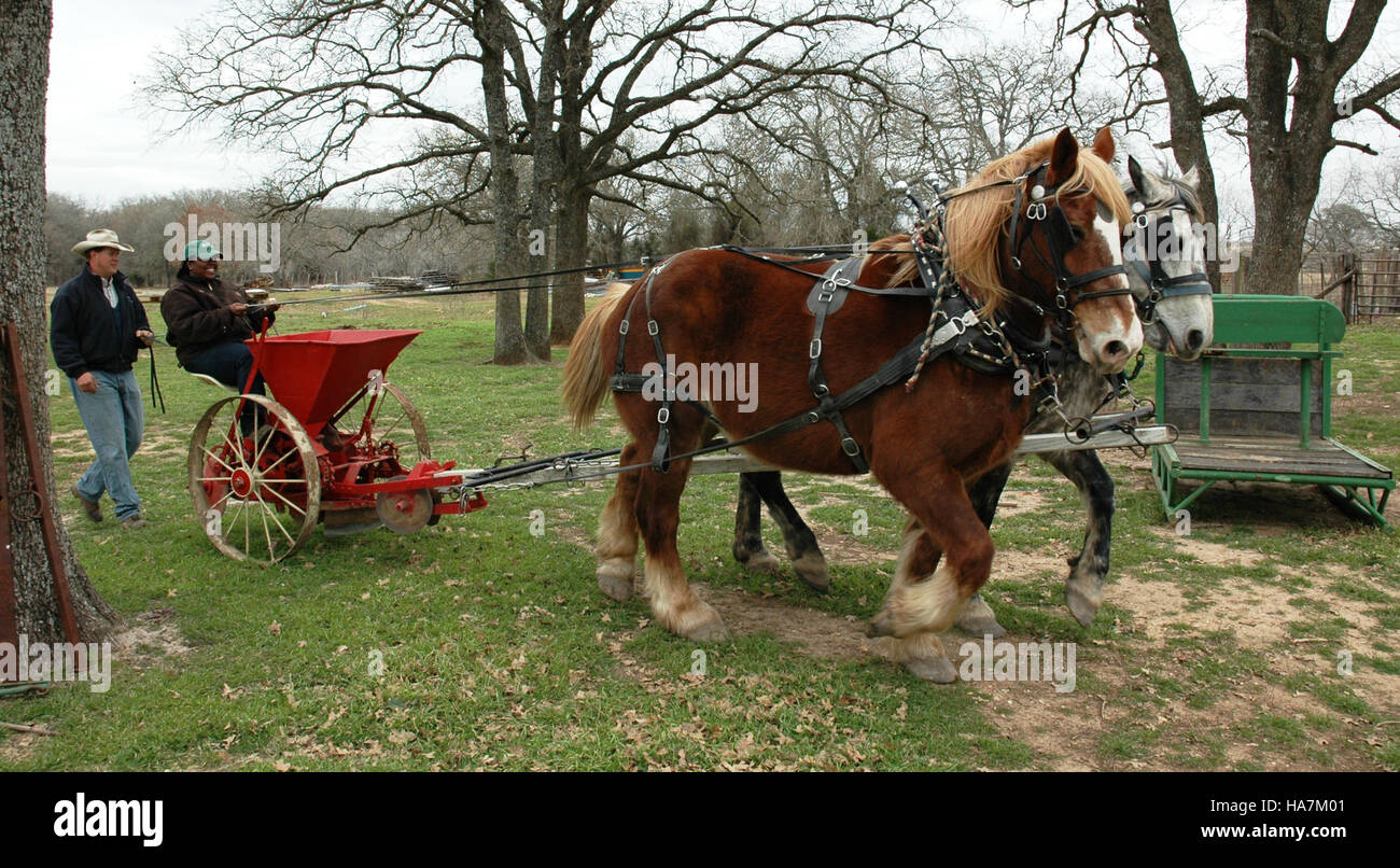 The USDA supports agricultural practices such as the use of draft ...
