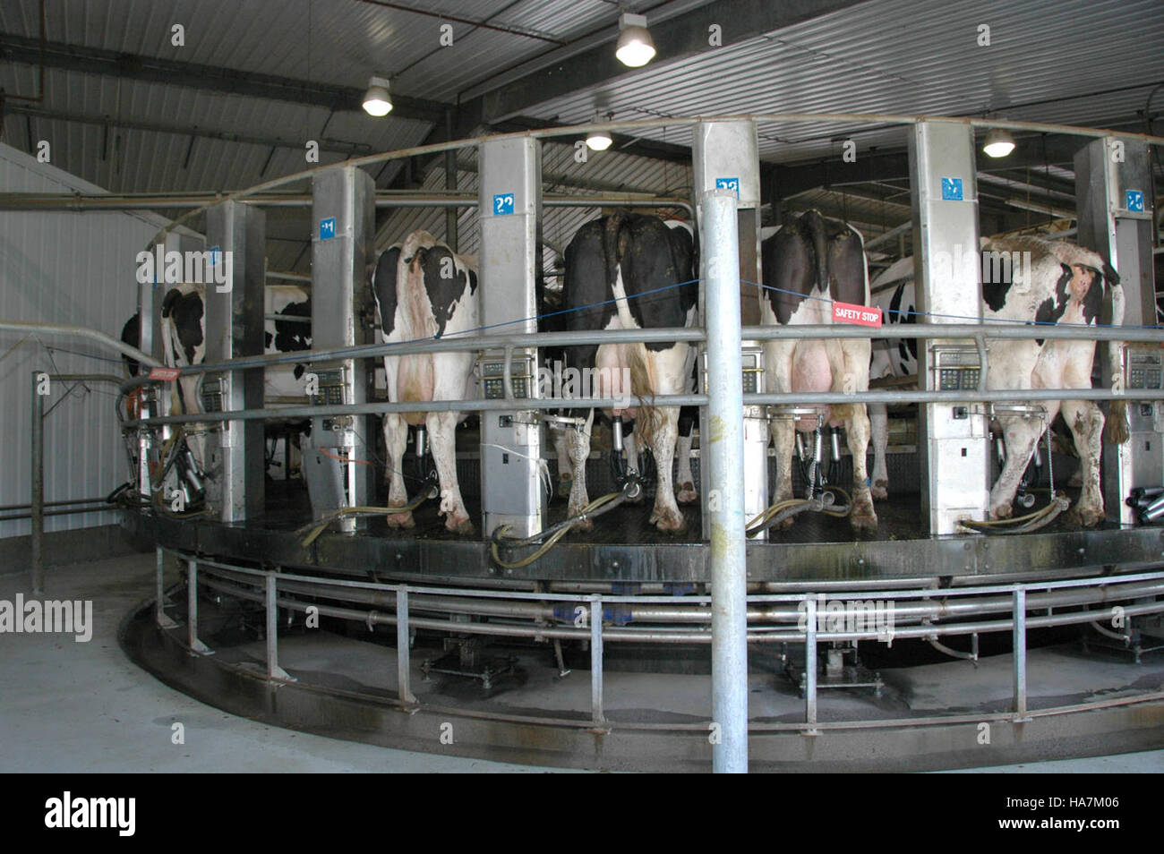 Carousel Dairy, a farm-focused educational initiative supported by USDA ...