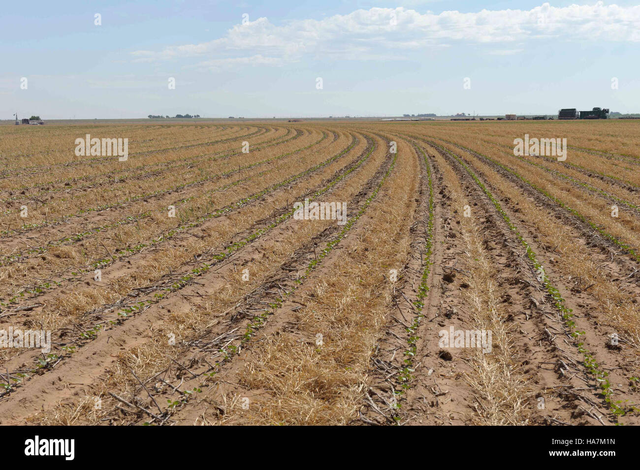 Crop residue management hi-res stock photography and images - Alamy
