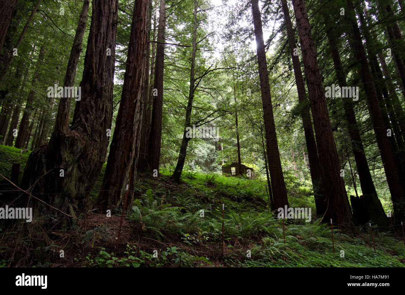 The USDA’s America’s Great Outdoors initiative promotes environmental ...
