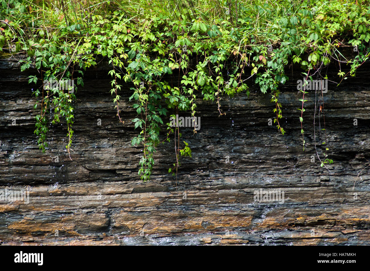 Construction efforts in the Appalachian Mountains, supported by the ...