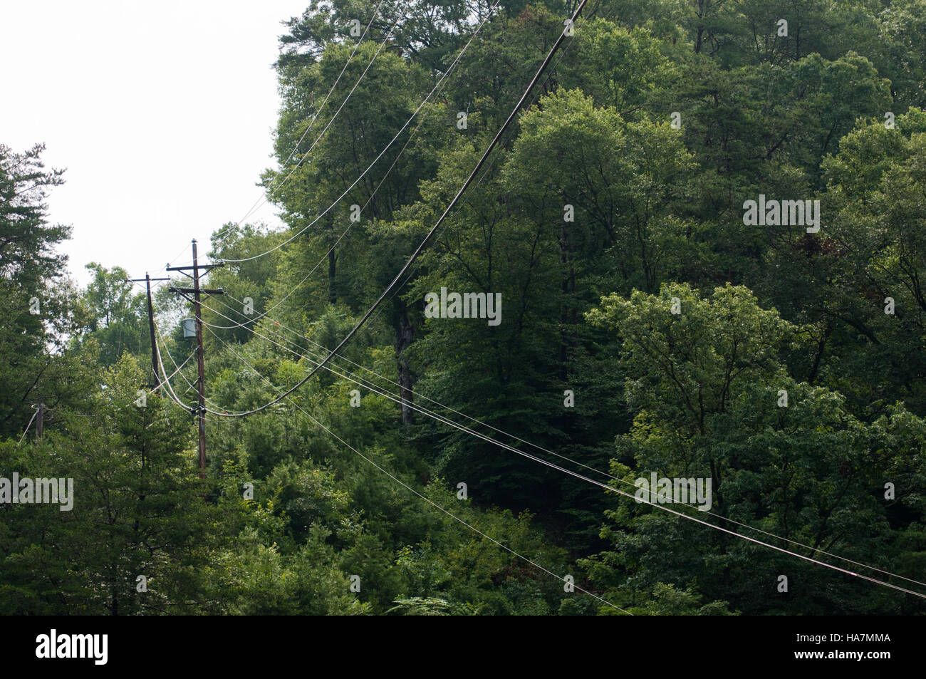 Development on modern lines hi-res stock photography and images - Alamy