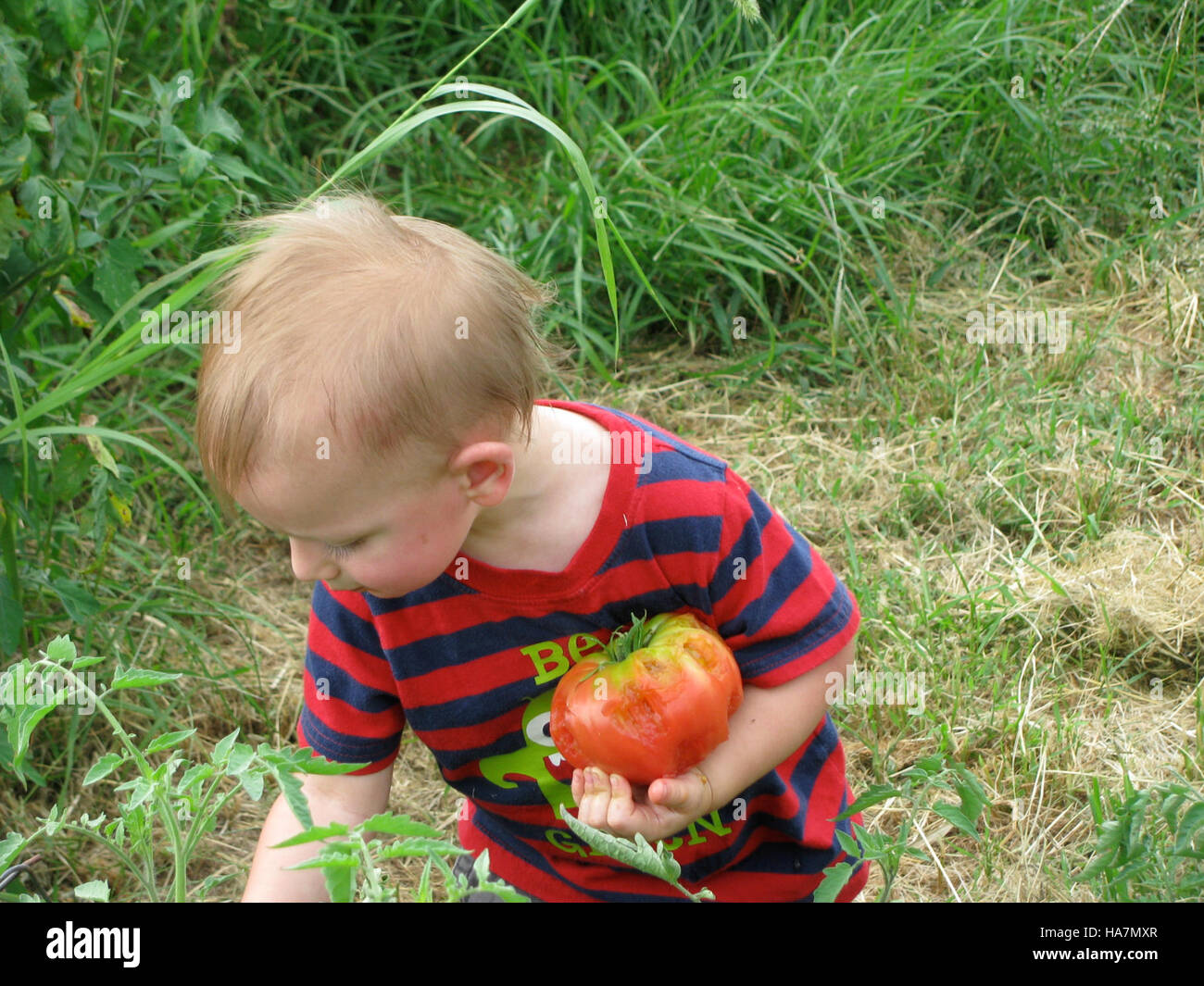 A USDA project demonstrating the use of advanced technology, such as ...