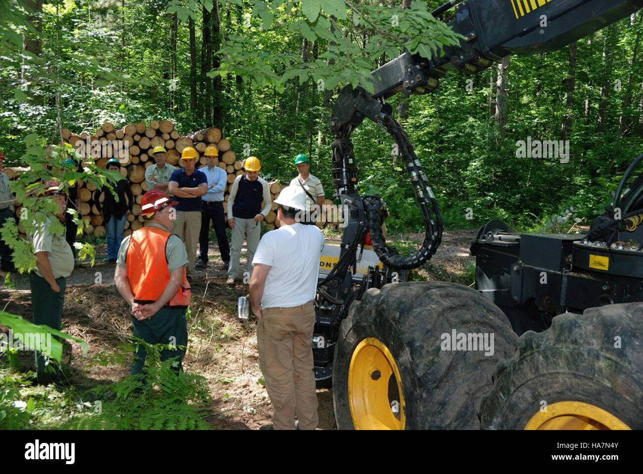 The Bulgarian Forest conservation project focuses on preserving ...