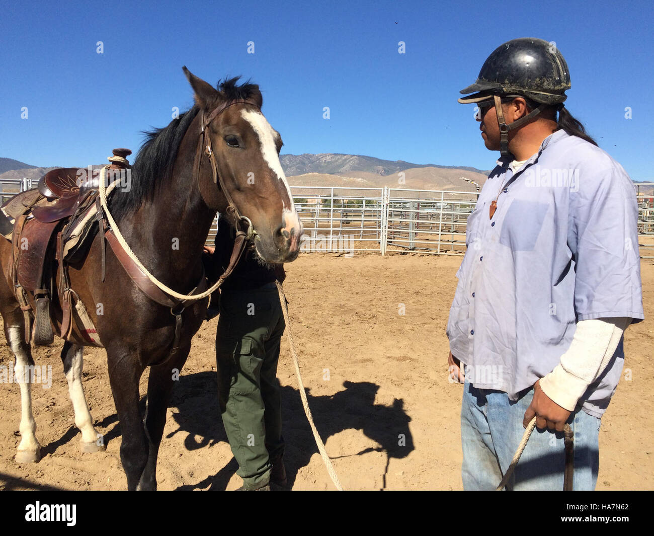 A photograph of the Nevada desert, showcasing native desert plants and ...