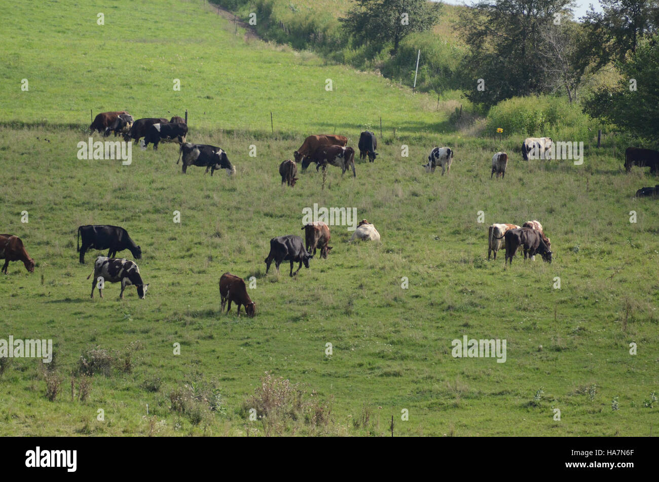 The USDA promotes science-based policies for environmental protection ...