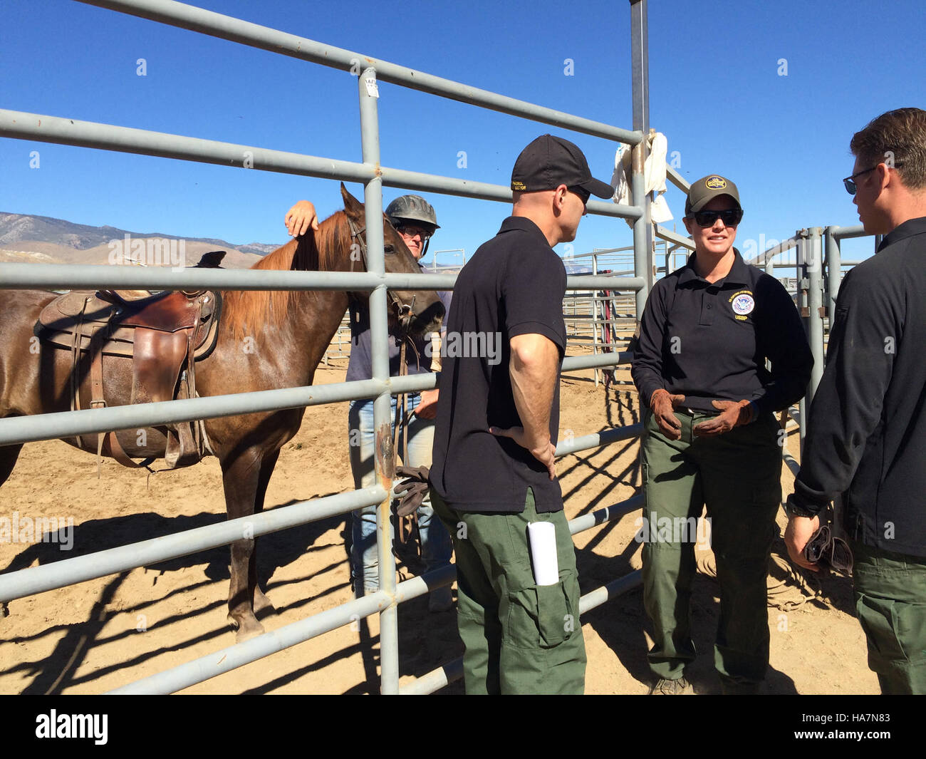 This image captures a scene from Nevada's Bureau of Land Management ...