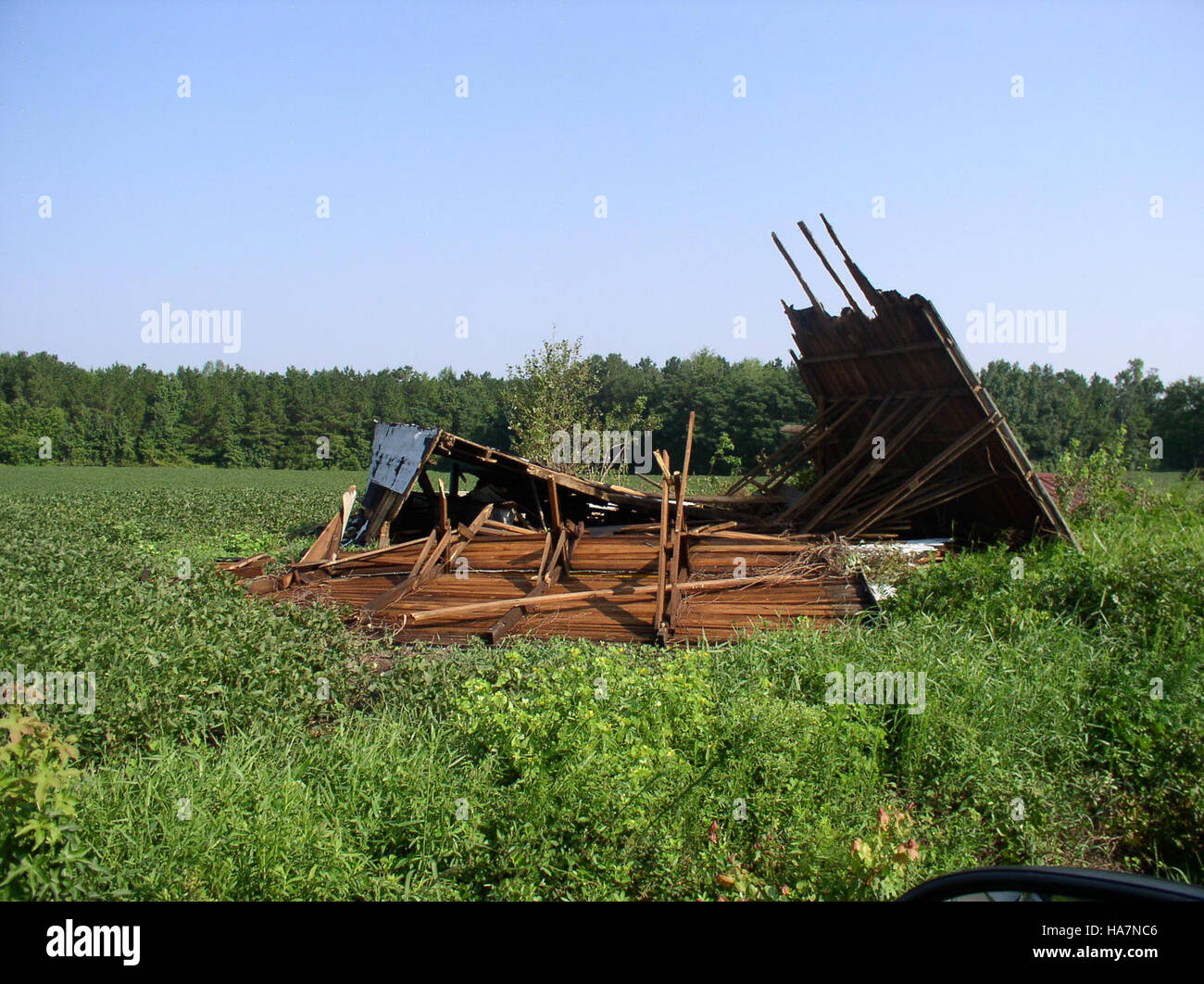 Crop damage caused by Hurricane Irene is assessed by the USDA ...
