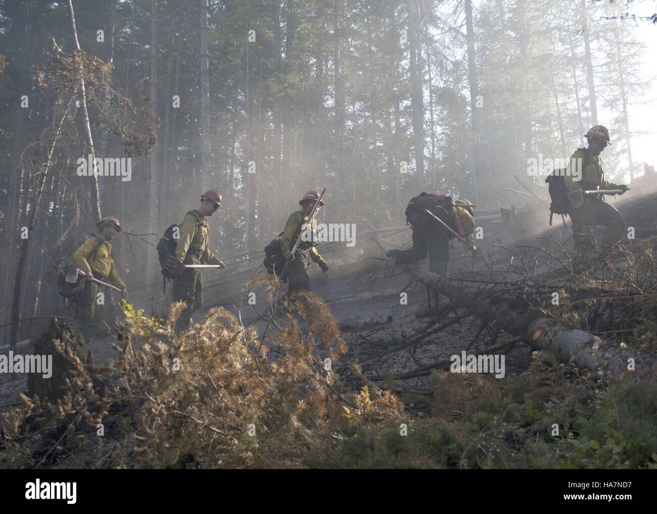 The Coleville National Forest firefighting efforts in response to the ...