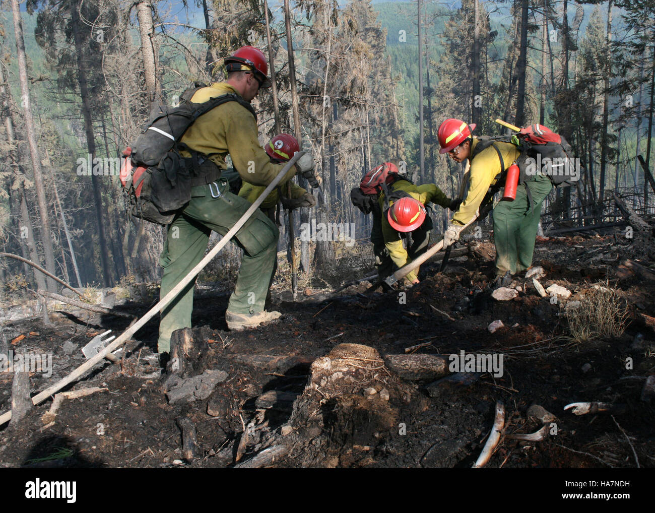 The Rogers Fire in Coleville National Forest was a significant wildfire ...