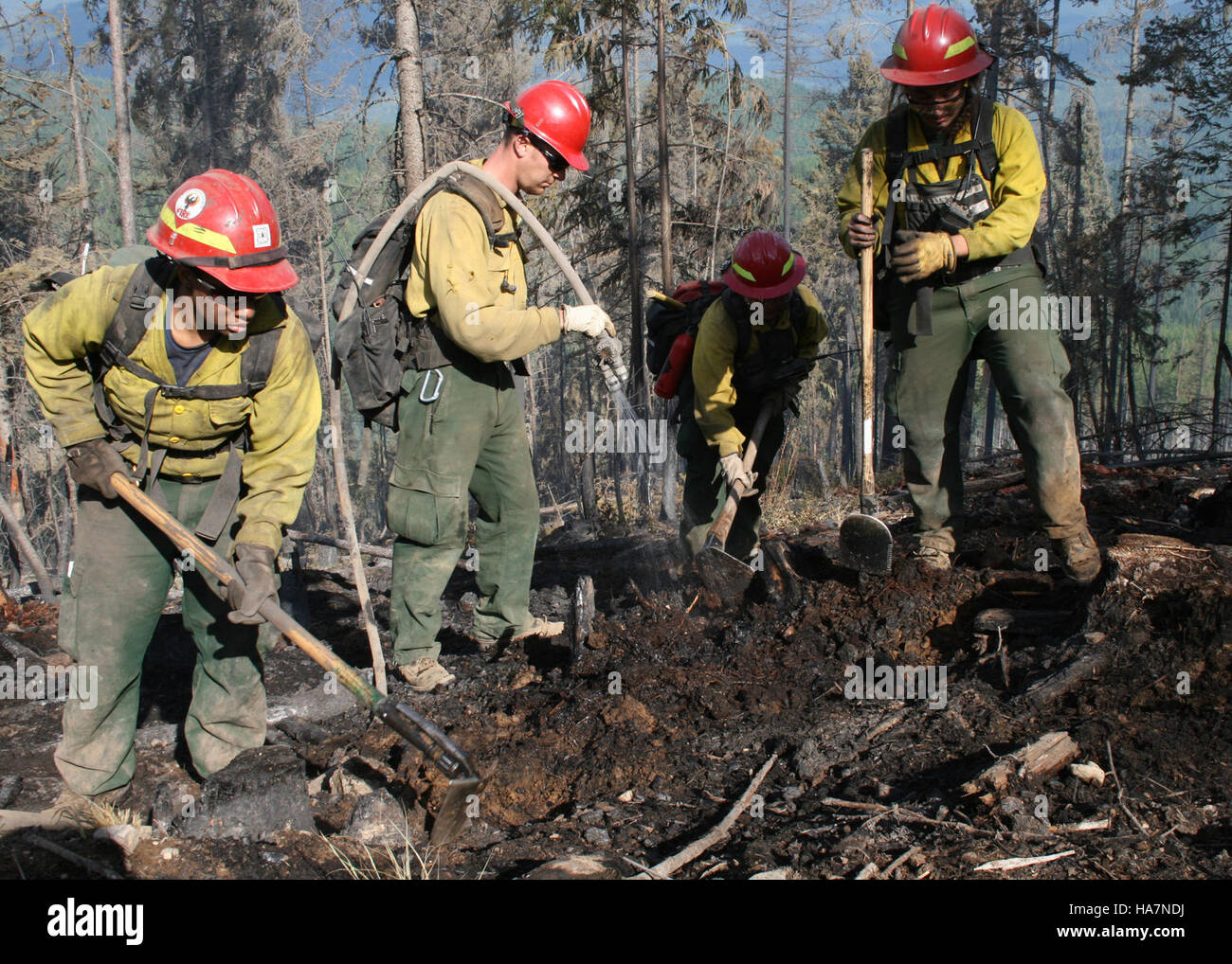 The Rogers Fire in Coleville National Forest was a significant wildfire ...