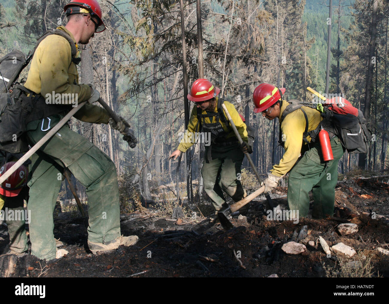 The Rogers Fire in Coleville National Forest, USA, showcases ...