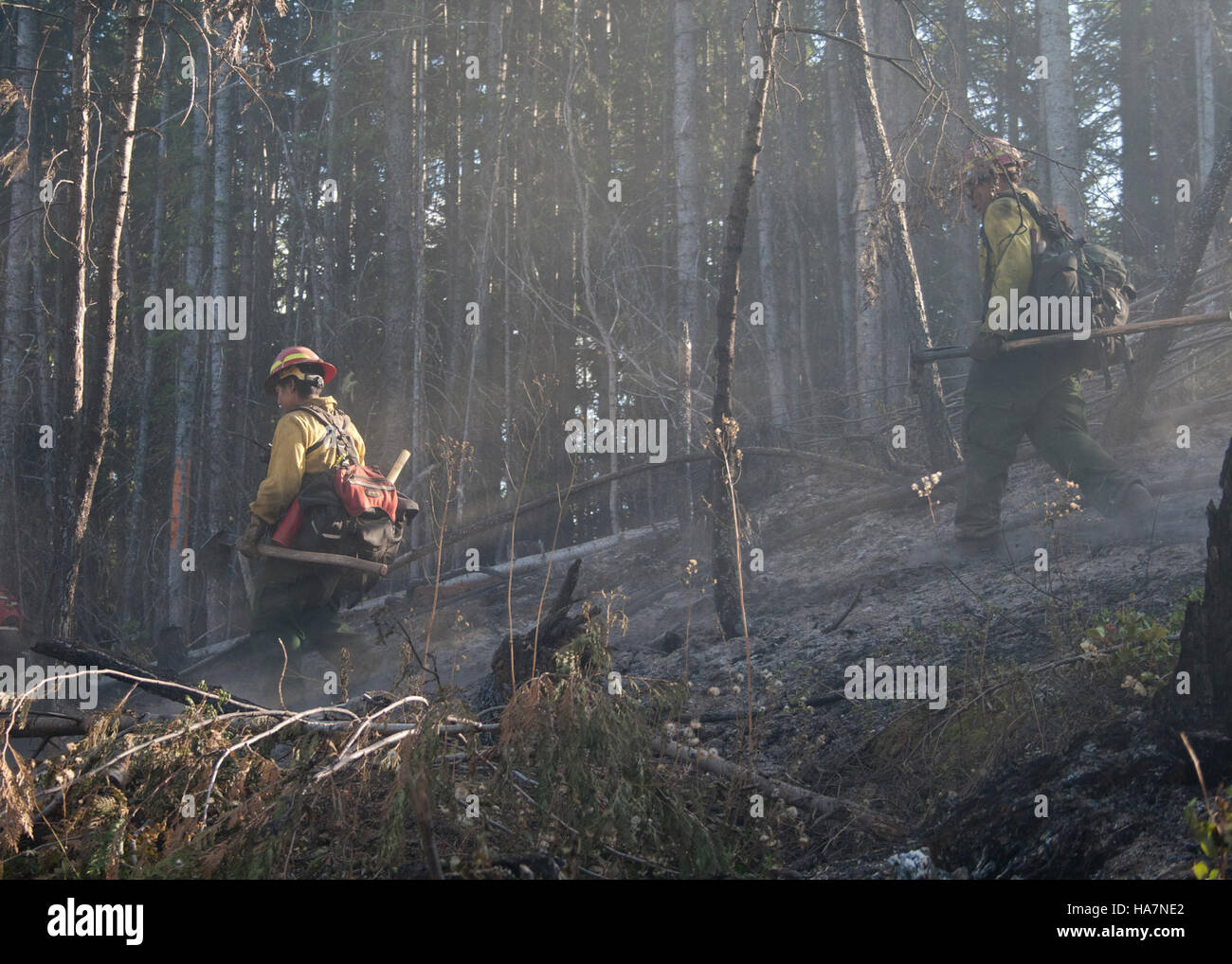 The Rogers Fire in Colville National Forest was a significant wildfire ...