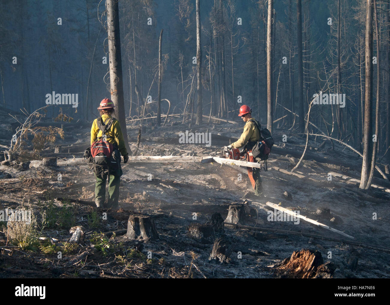 A USDA image from Coleville National Forest, showing firefighting ...