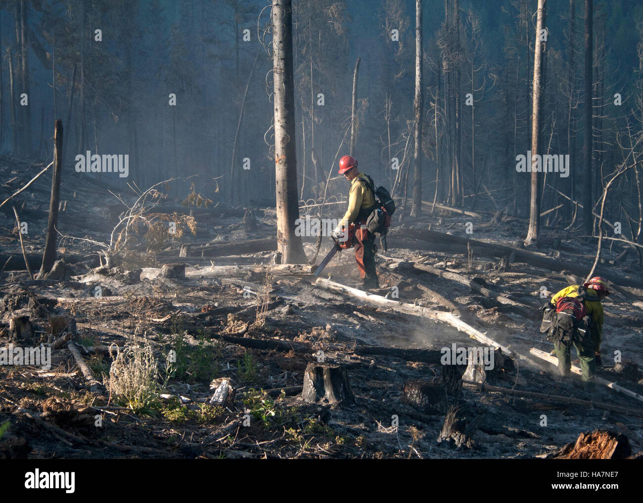 A firefighting team battles the Rogers Fire in Coleville National ...