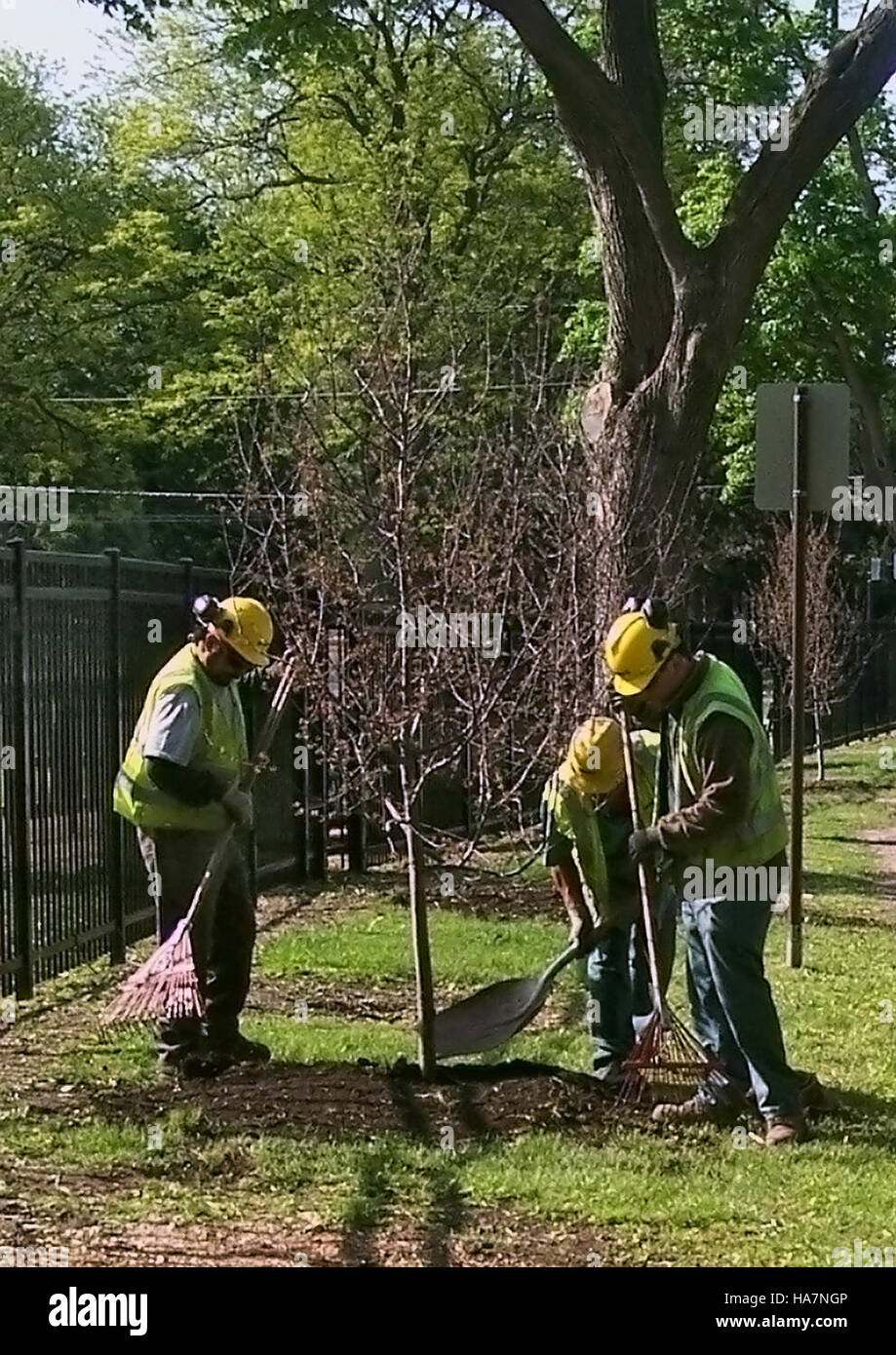 In May 2010, the USDA supported the planting of street trees in Elgin ...