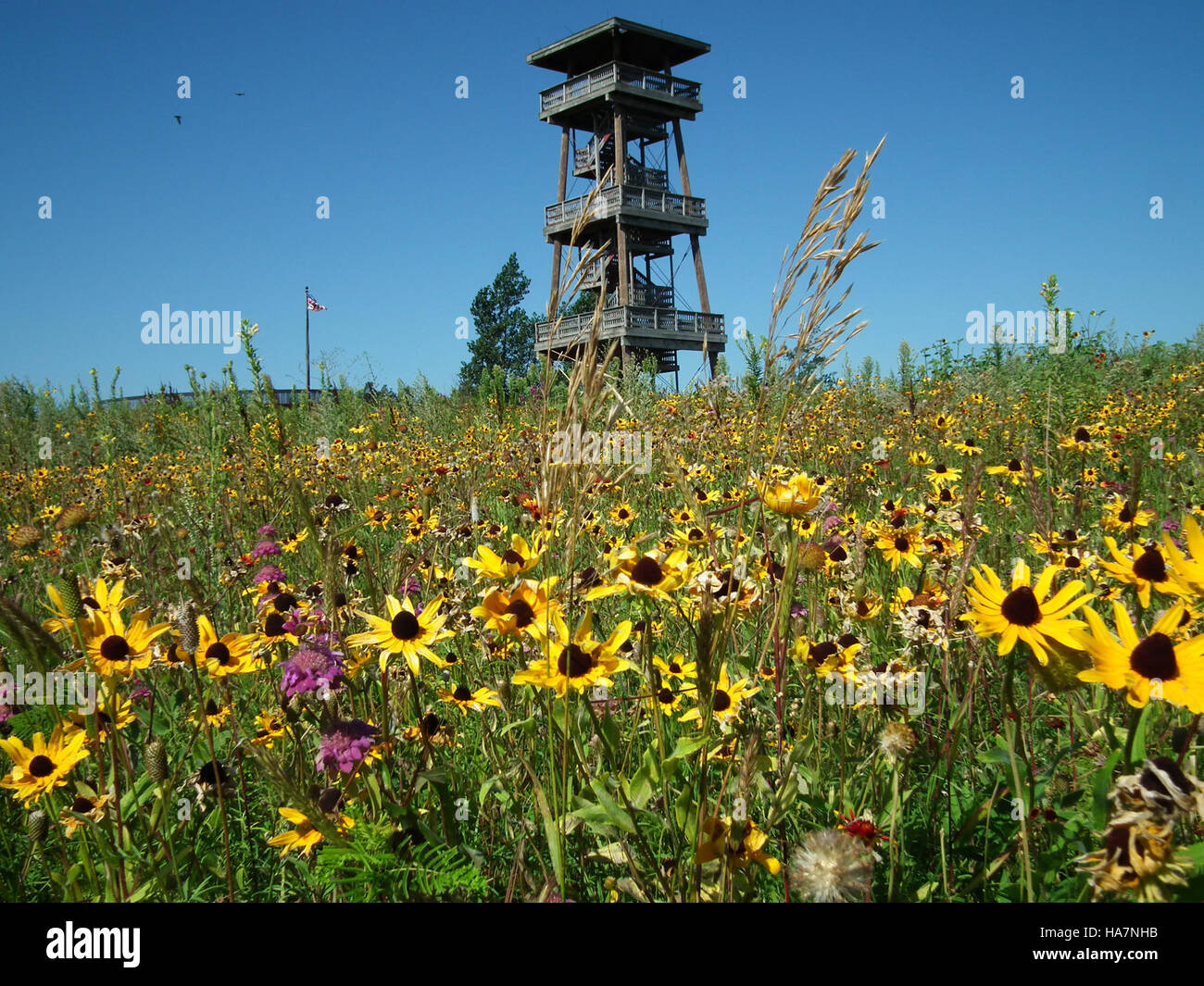 The USDA continues its work in promoting agriculture, rural development ...