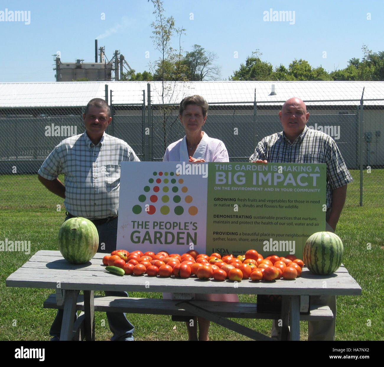 A harvested vegetable from USDA-supported agricultural initiatives ...