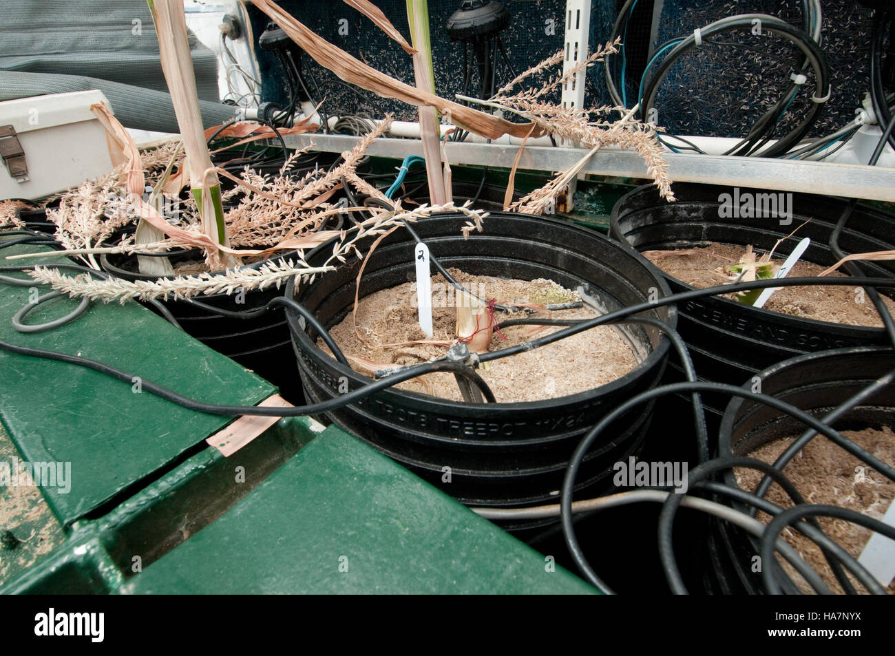 The USDA’s Agricultural Research Service collaborates with Afghanistan ...