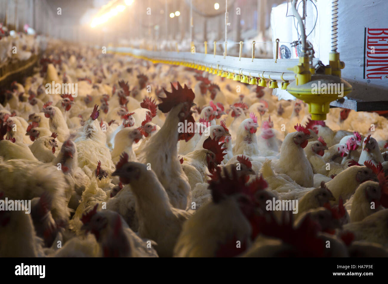 The USDA Rural Development program aims to improve infrastructure and ...