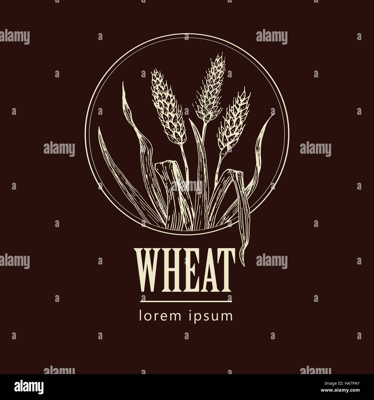 Vintage wheat icon hi-res stock photography and images - Alamy