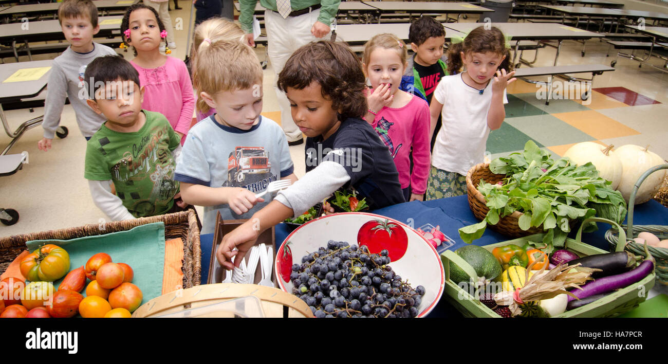 This image from the USDA highlights National School Lunch Week ...