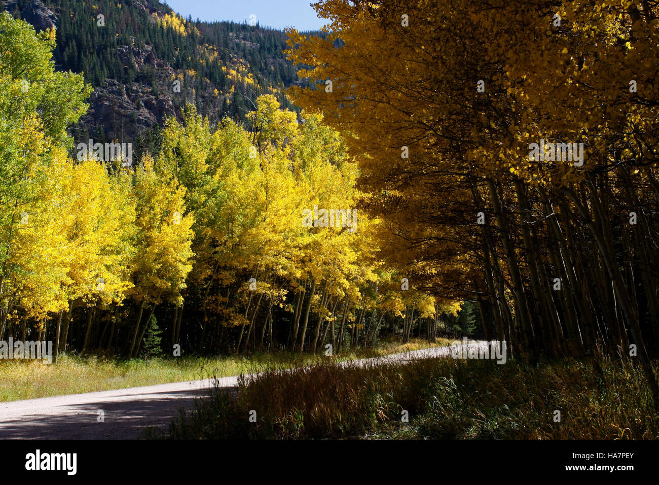 The Roosevelt National Forest in Colorado is renowned for its stunning ...