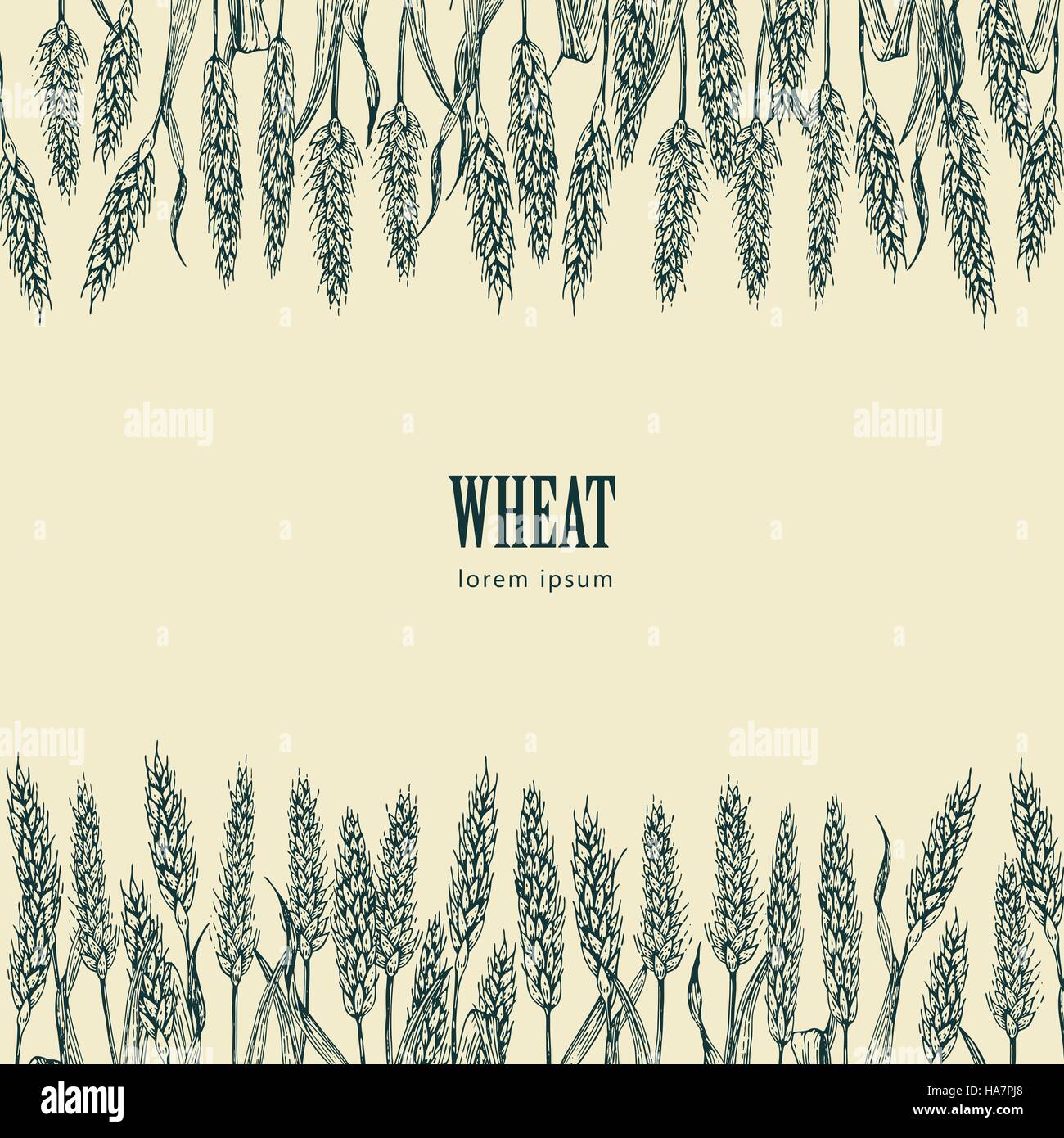 Field of Wheat vector illustration Stock Vector Image & Art - Alamy