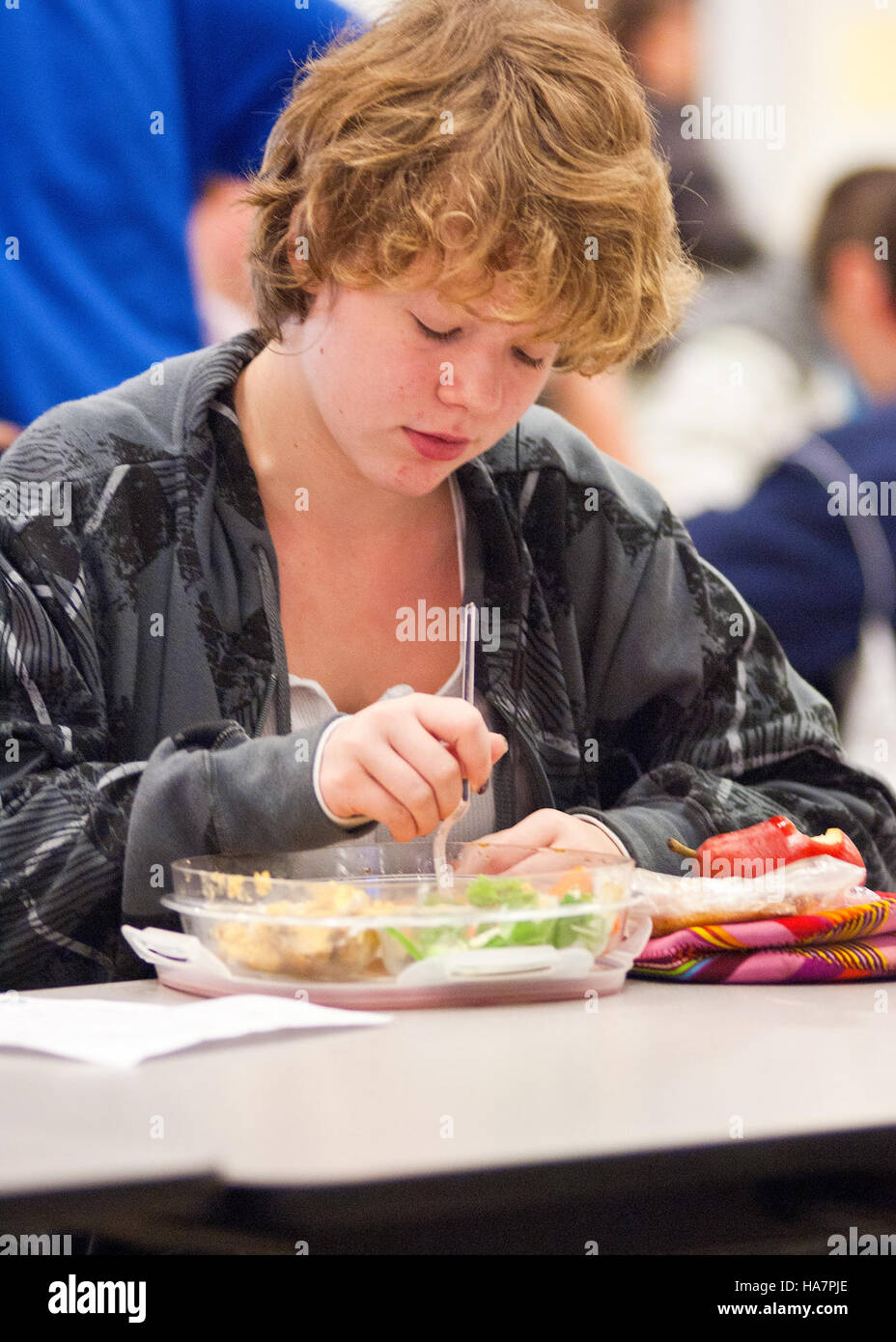 The USDA's Food and Nutrition Service supports student nutrition ...