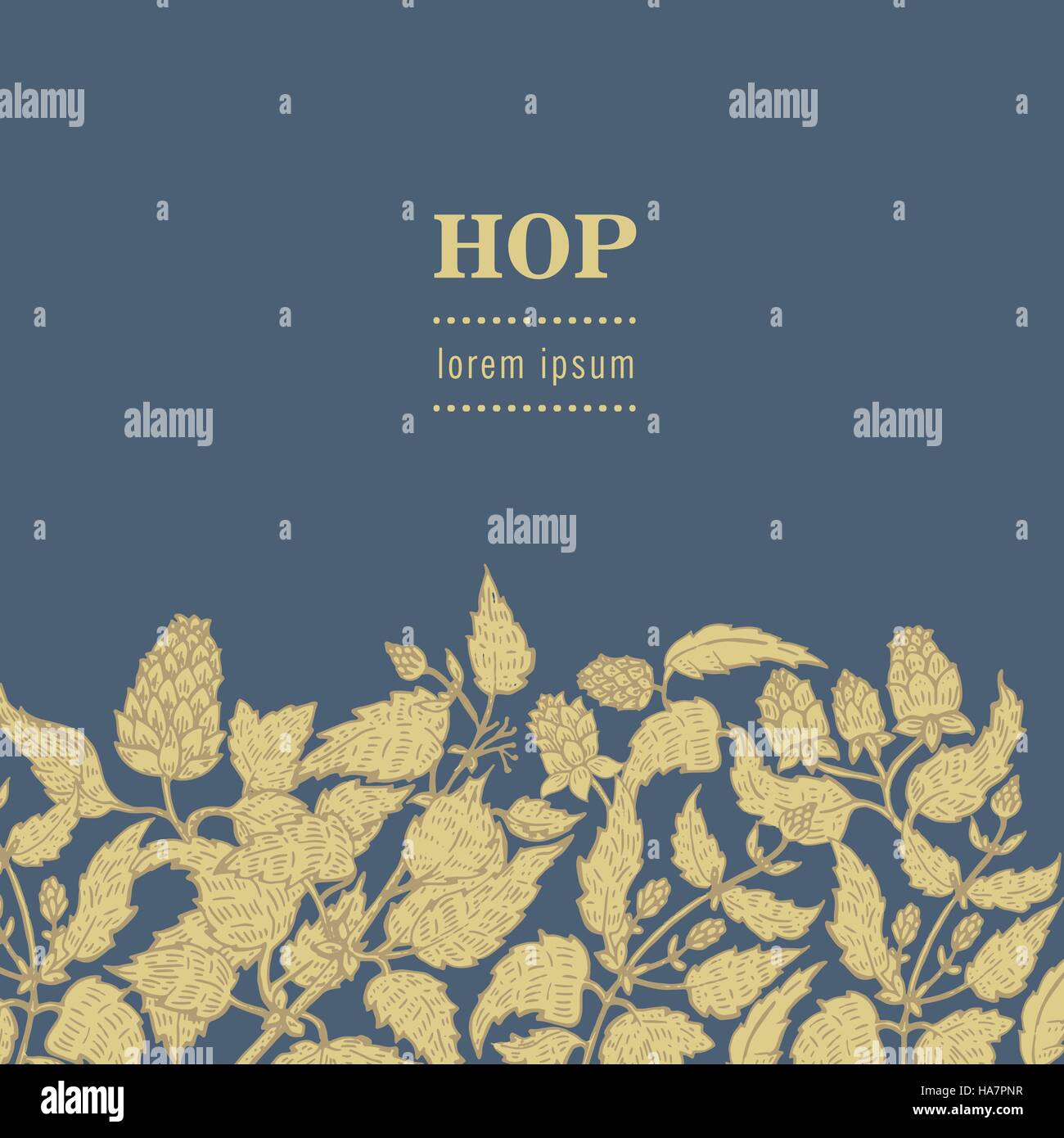 Hop botanical illustration hi-res stock photography and images - Alamy
