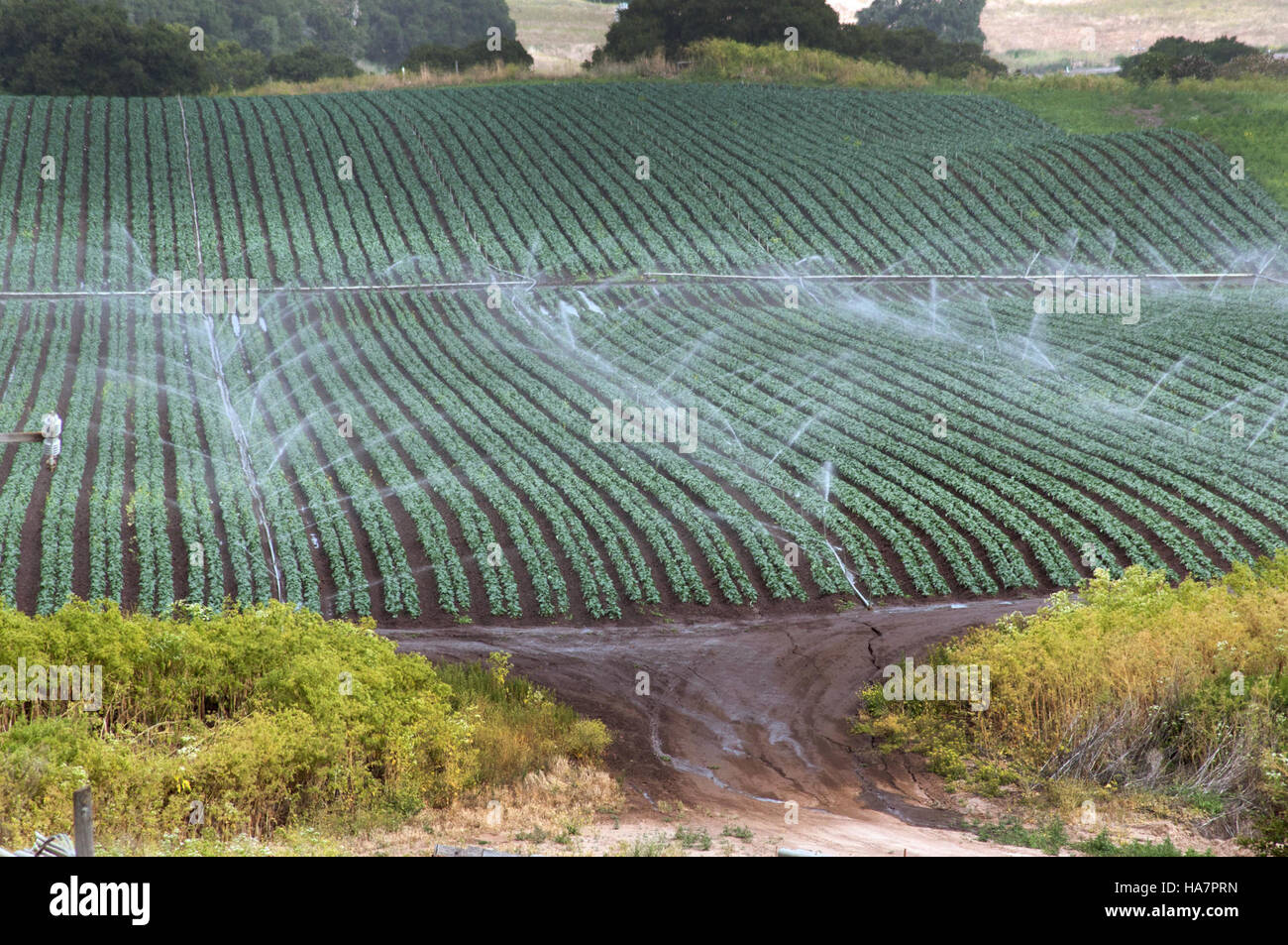 The USDA supports sustainable farming practices like rotational crops ...