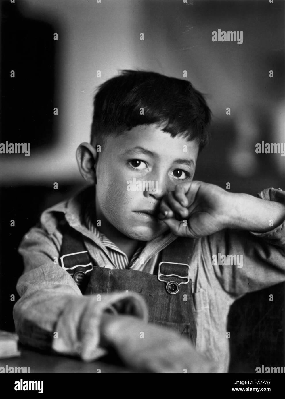 An agricultural educational program for students, emphasizing the ...