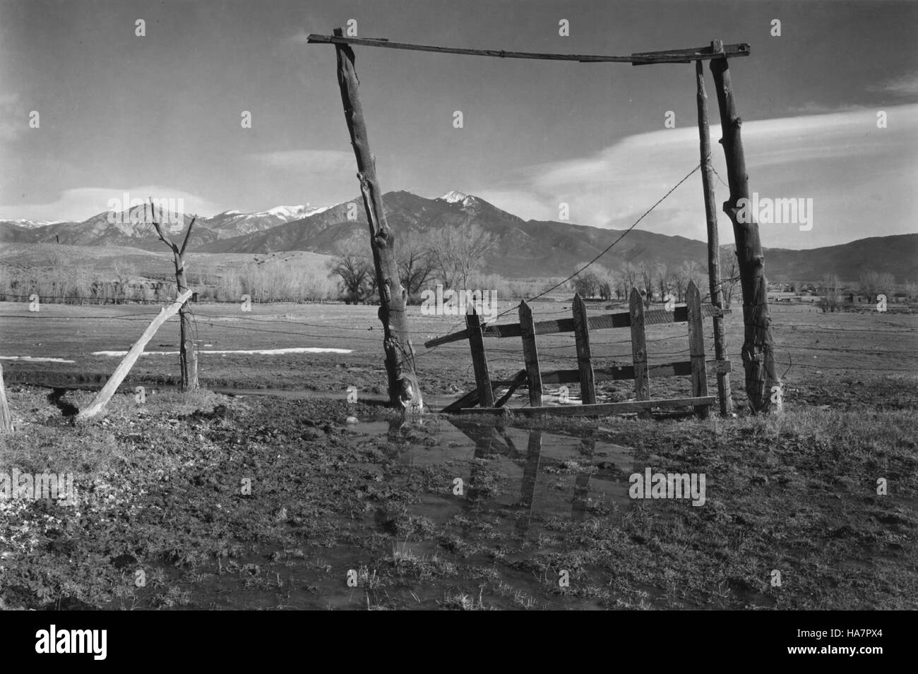 Sustainable fence Black and White Stock Photos & Images - Alamy