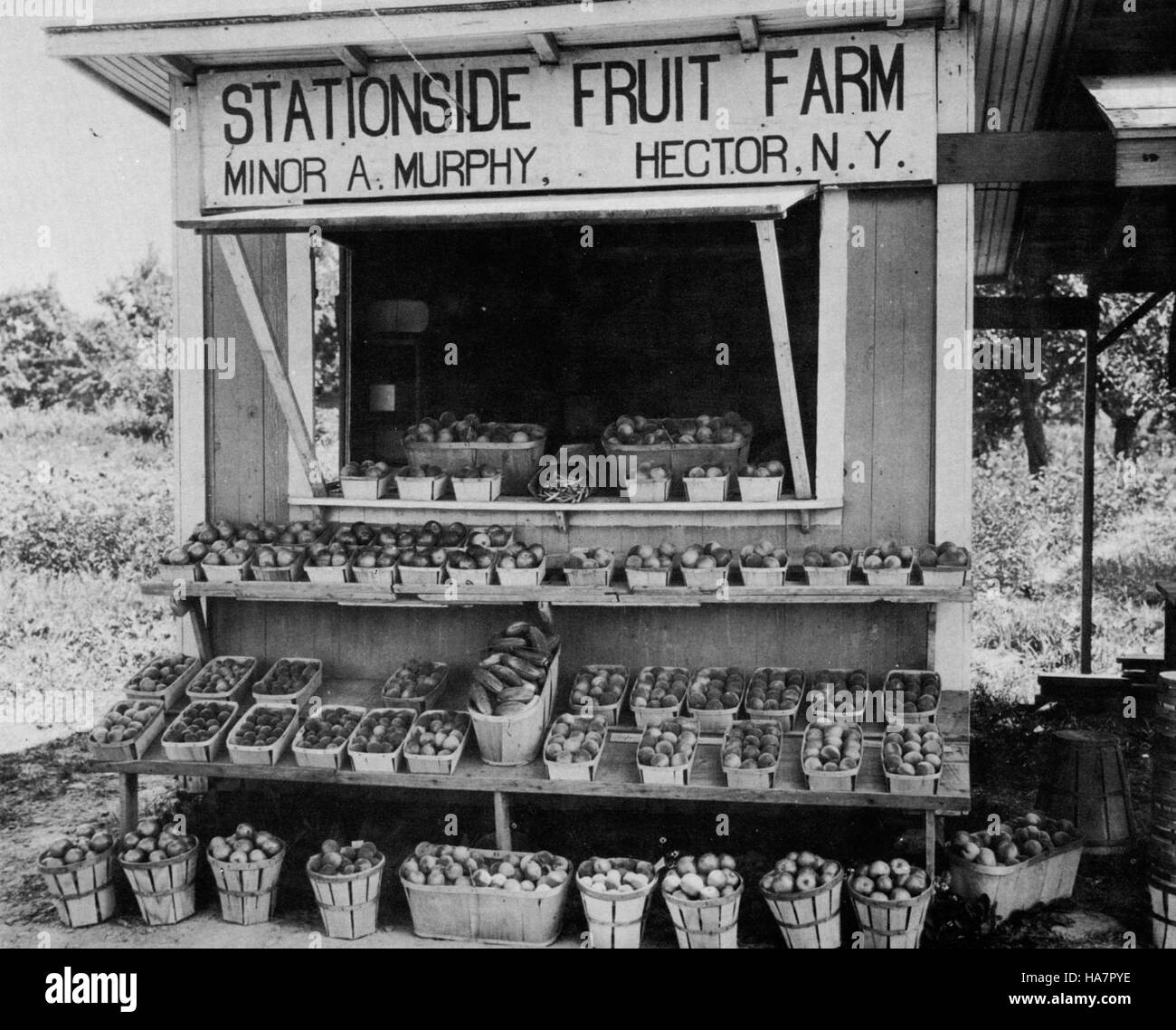 A USDA initiative focused on environmental sustainability and food ...