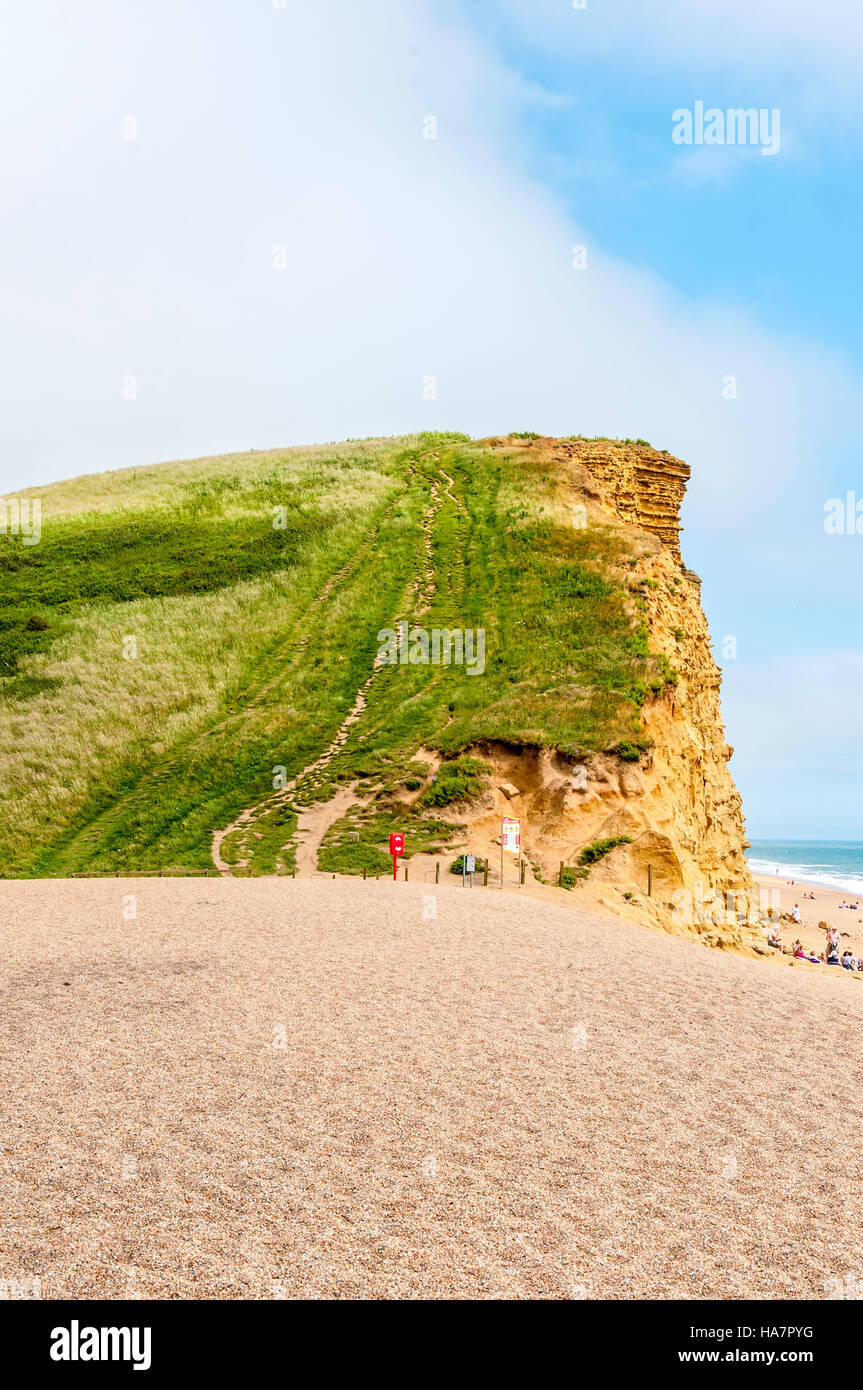 A steep path climbs from relatively flat sand through green vegetation ...