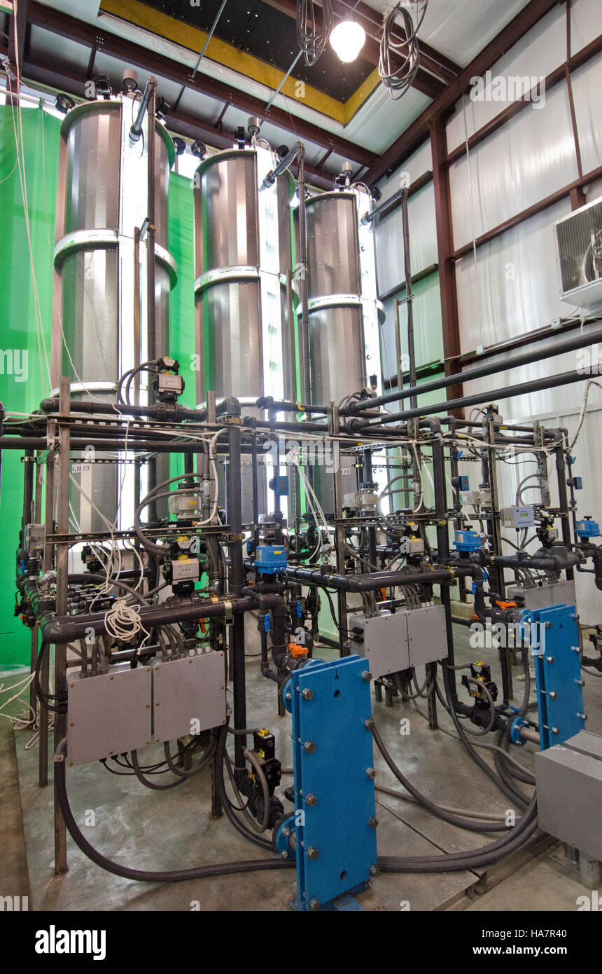 U.S. Department of Agriculture's algae bio-process program focuses on ...