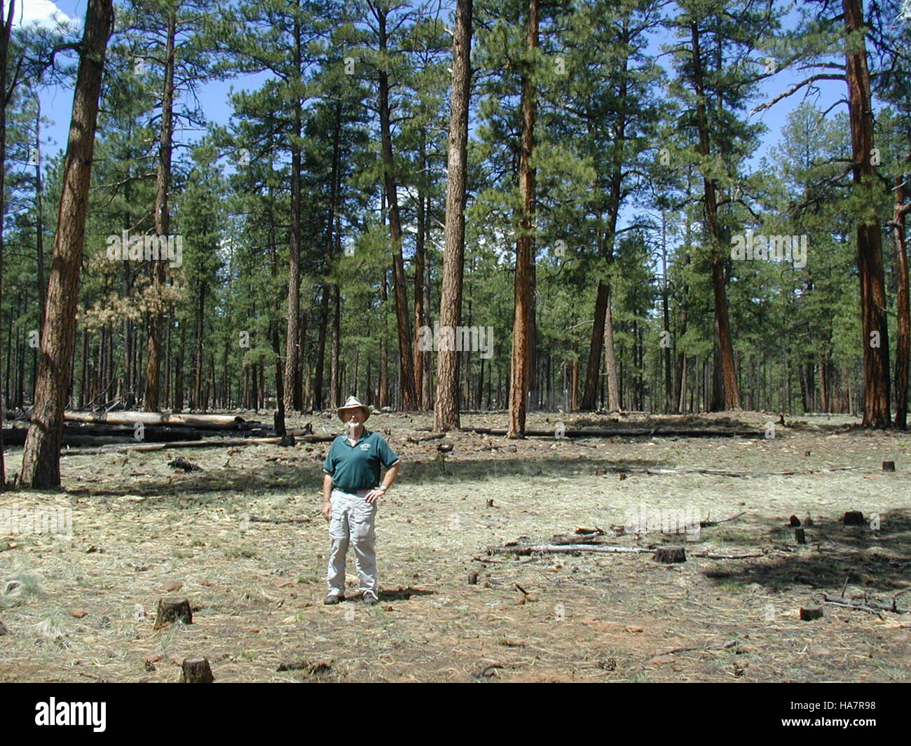 An image capturing a USDA initiative in agricultural research ...